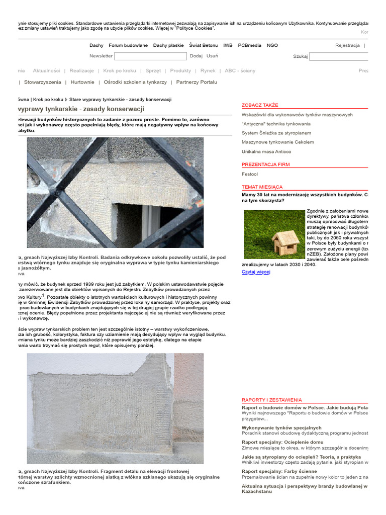 Tynki __ Tynkowanie, Narzędzia, Farby, Agregaty Tynkarskie, Błędy Tynkarskie | PDF