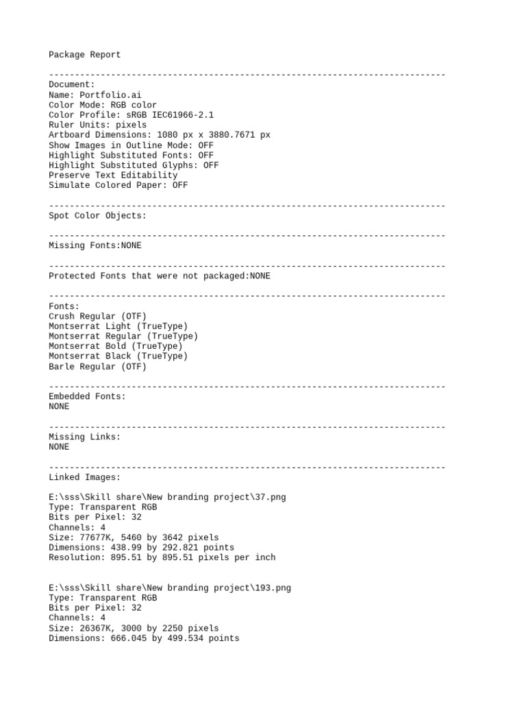 Portfolio.ai Package Report Summary | PDF