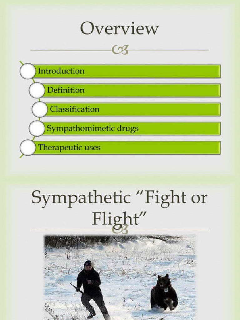 Sympathomimetic | PDF