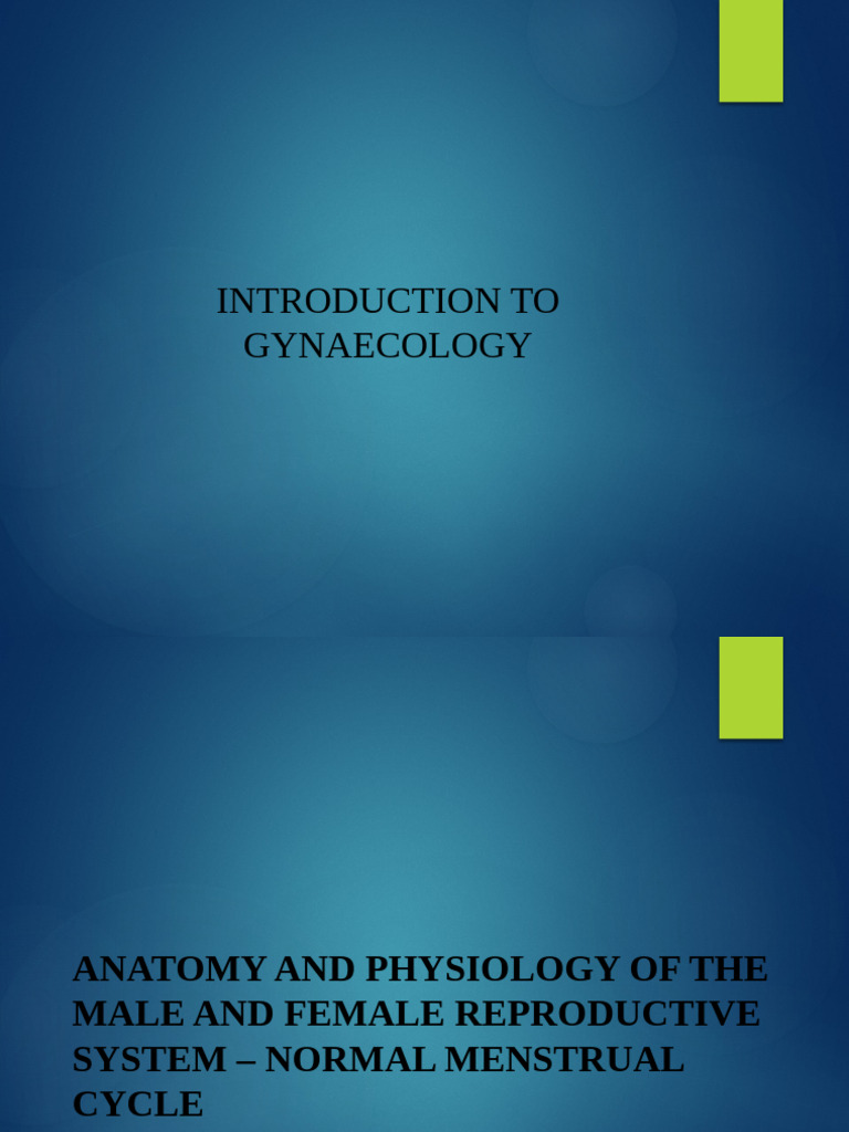 Anatomy of the Male Reproductive System | PDF | Menstrual Cycle | Breast