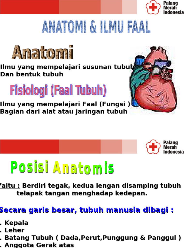 02 Anatomi Faal Dasar | PDF
