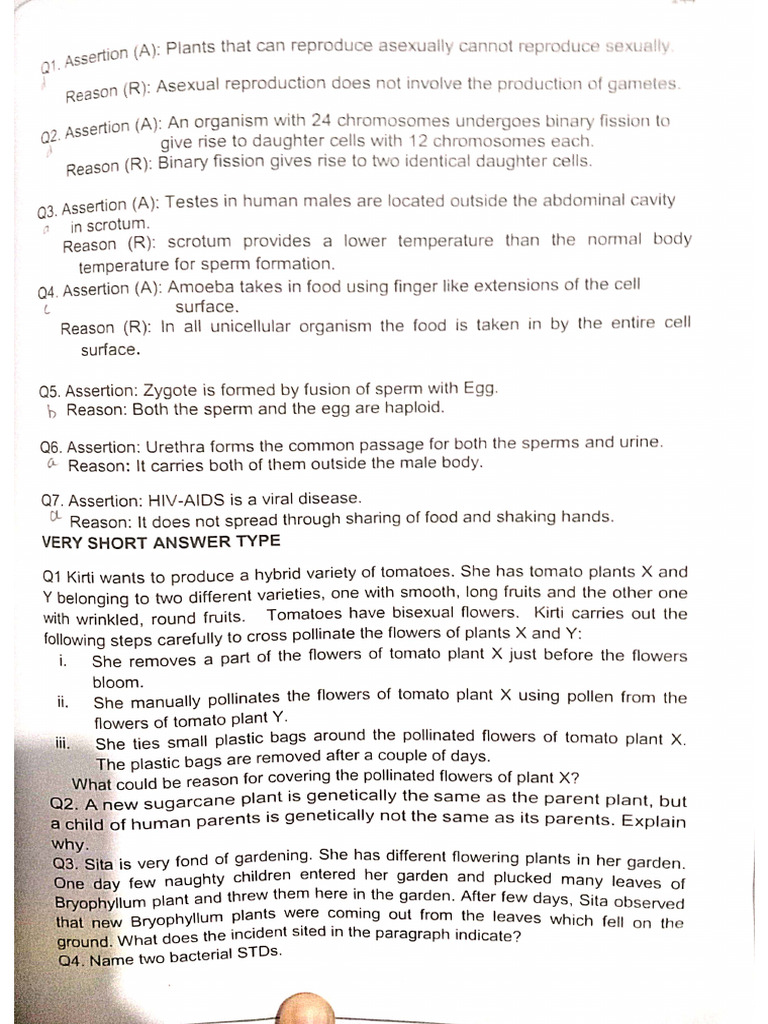 How To Organisms Reproduce Class 10 | PDF