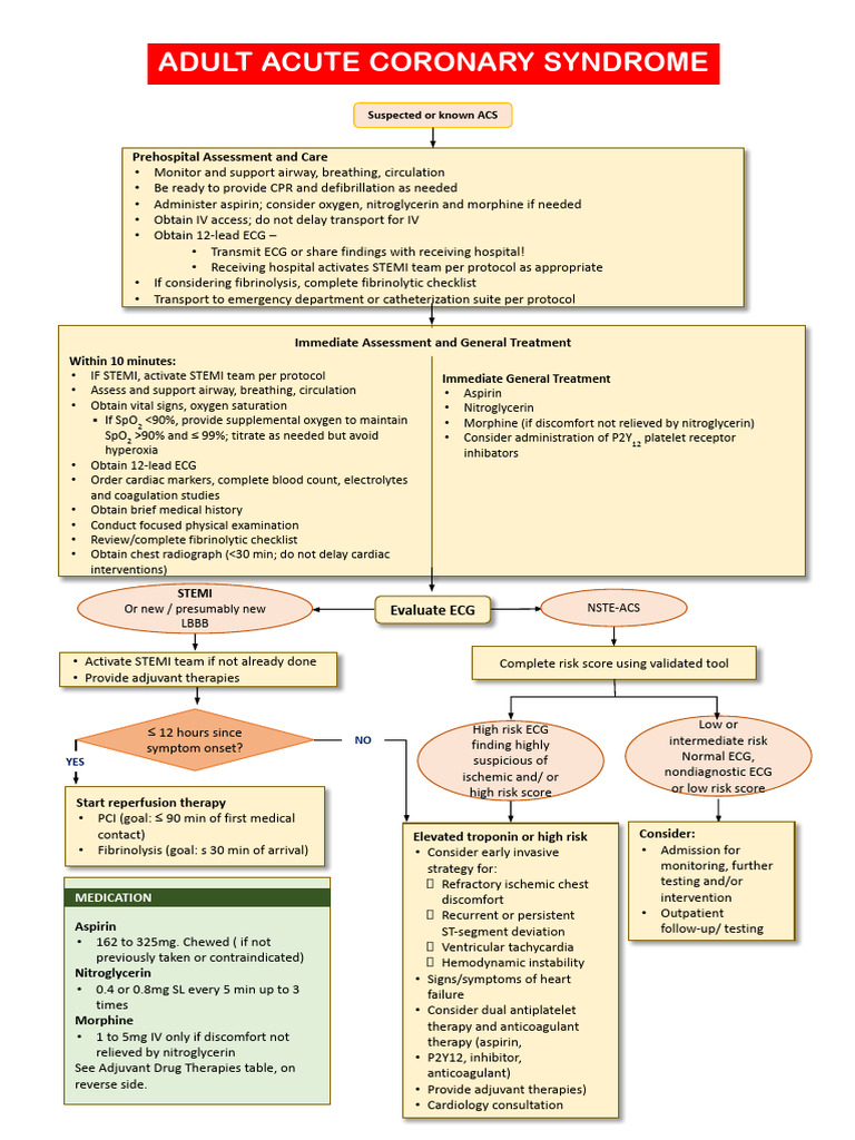 ACLS approach | PDF | Myocardial Infarction | Physiology