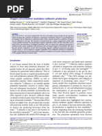 Membrane Proteins Building and Simulation With Charmmgui and VMD | PDF ...