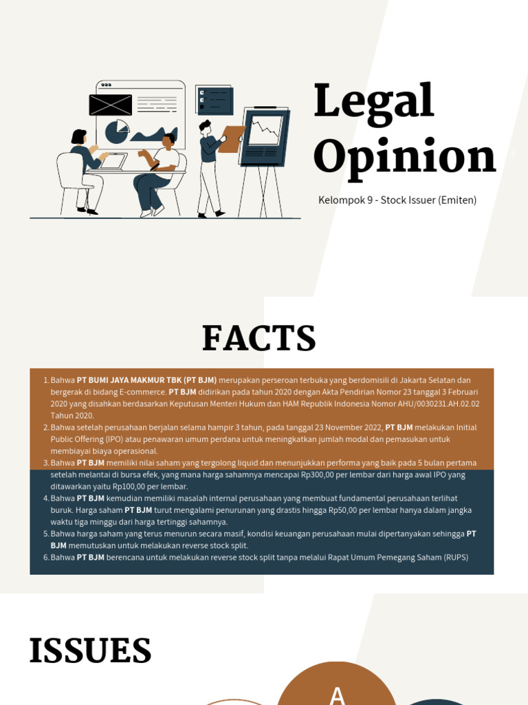 Legal Opinion - Stock Issuer | PDF