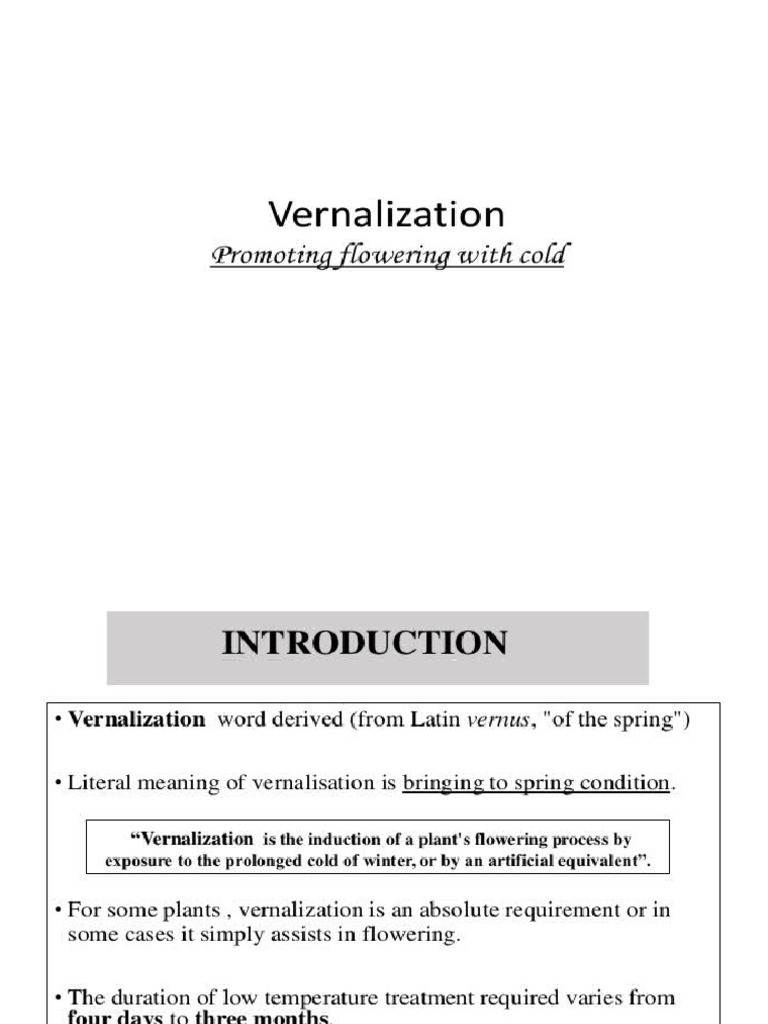 Vernalization | PDF