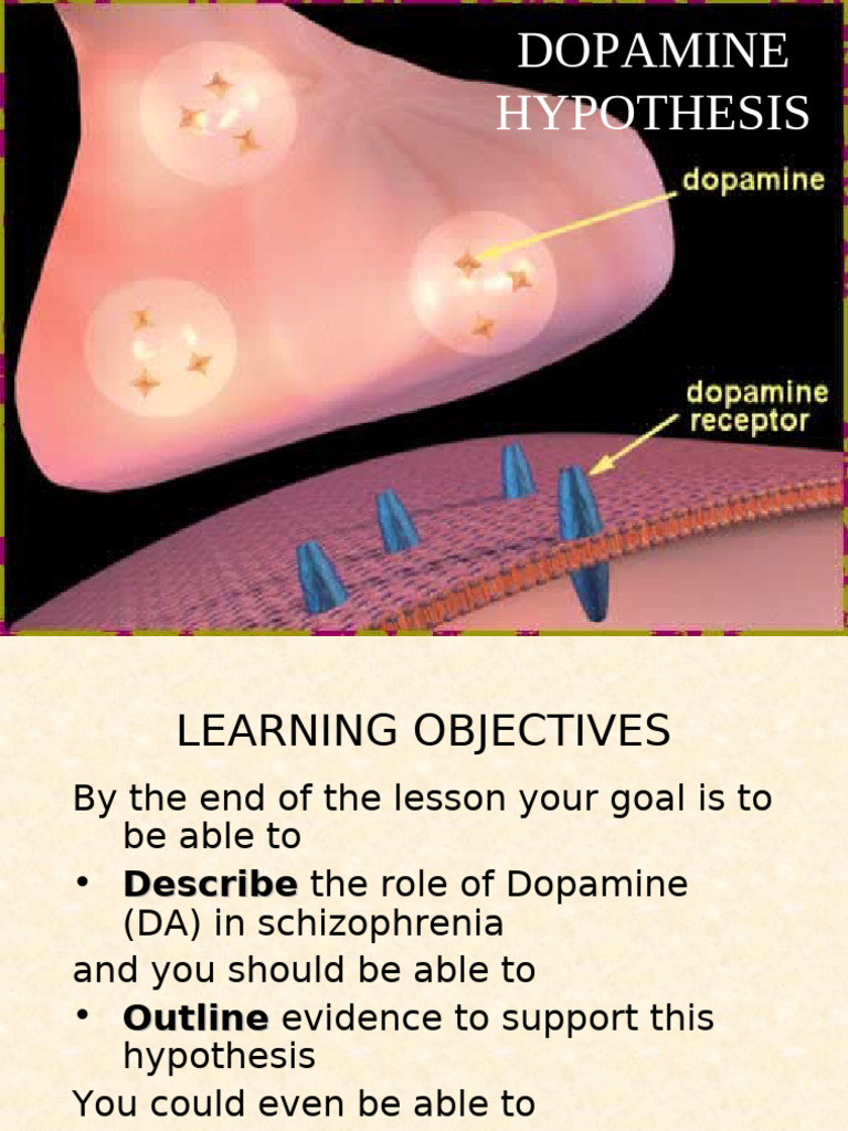 The Dopamine Hypothesis For Schizophrenia | PDF | Dopamine | Schizophrenia