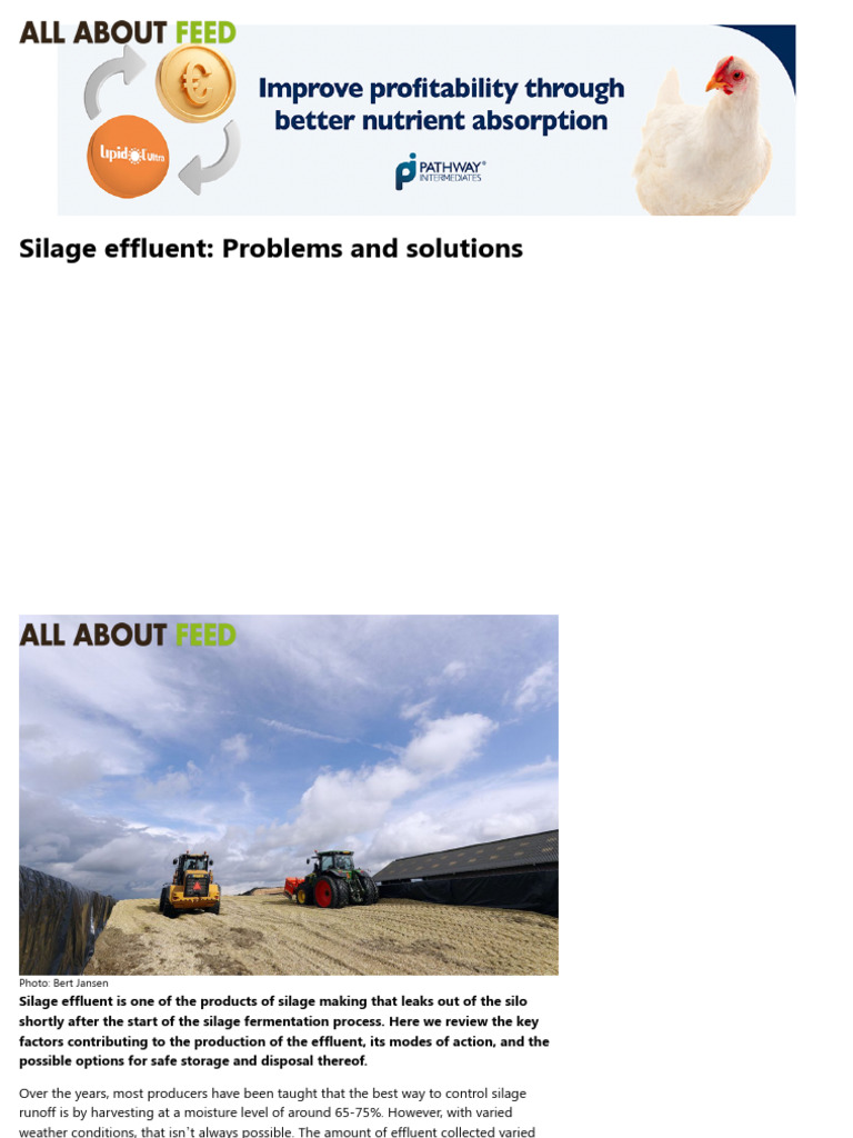 Silage Effluent - Problems and Solutions - All About Feed | PDF
