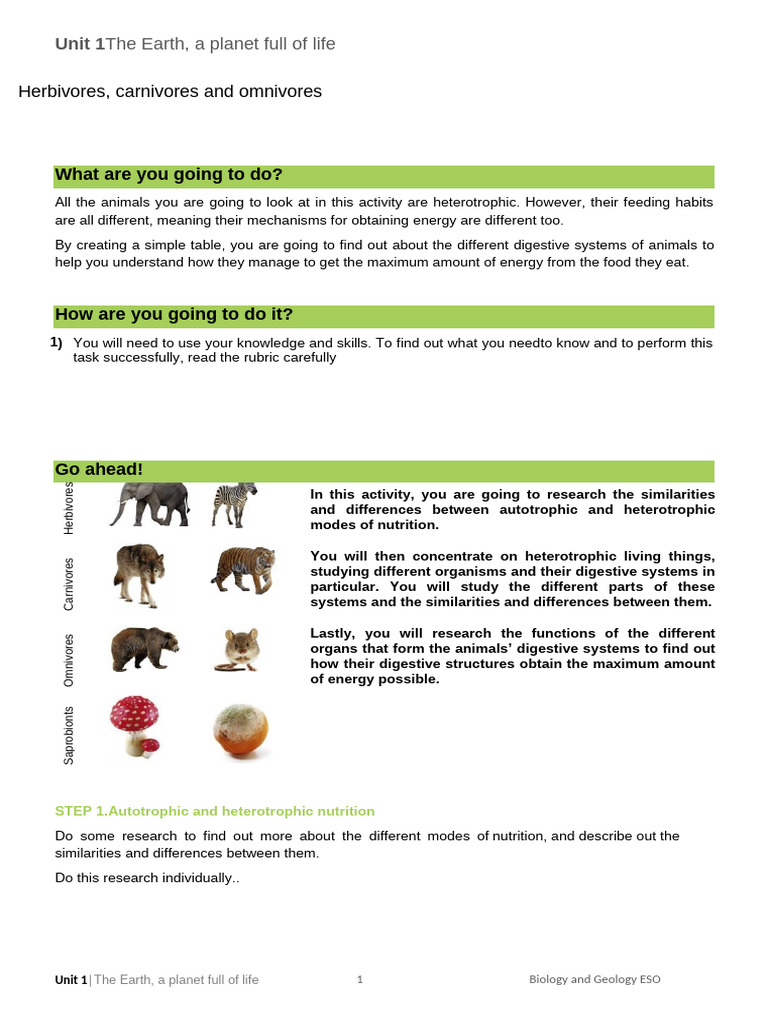 Herbivores, Carnivores and Omnivores (10 - ) 1 | PDF | Nutrition | Diet ...
