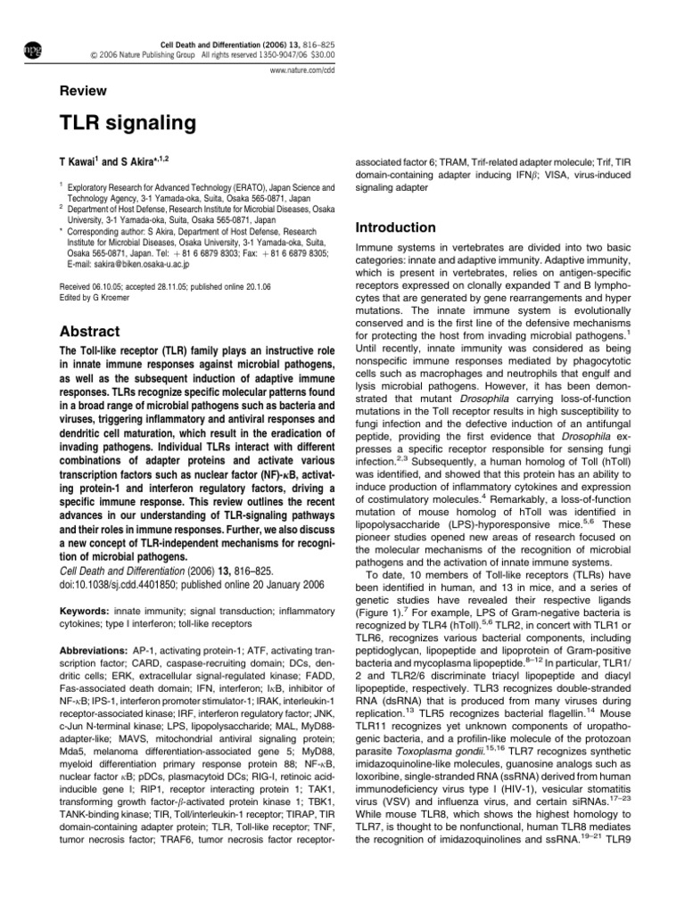 TLR signaling | PDF | Toll Like Receptor | Nf κb