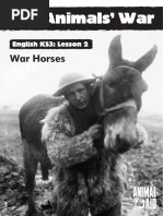 War Horse Questions | PDF | Sports & Recreation