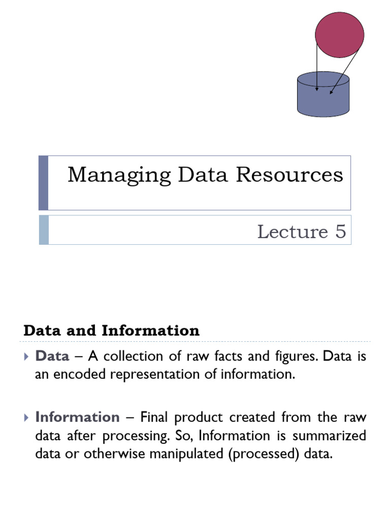 Managing Data Resources | PDF | Databases | Data Management