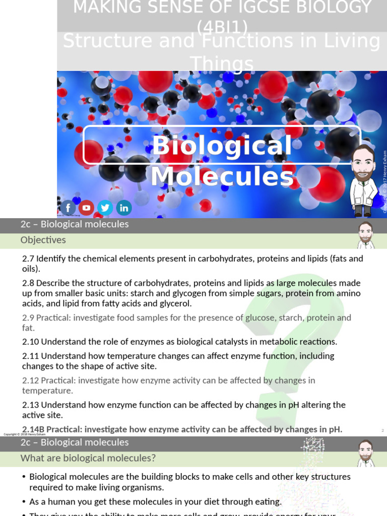 4 and 5 Biological Molecules | PDF | Enzyme | Carbohydrates