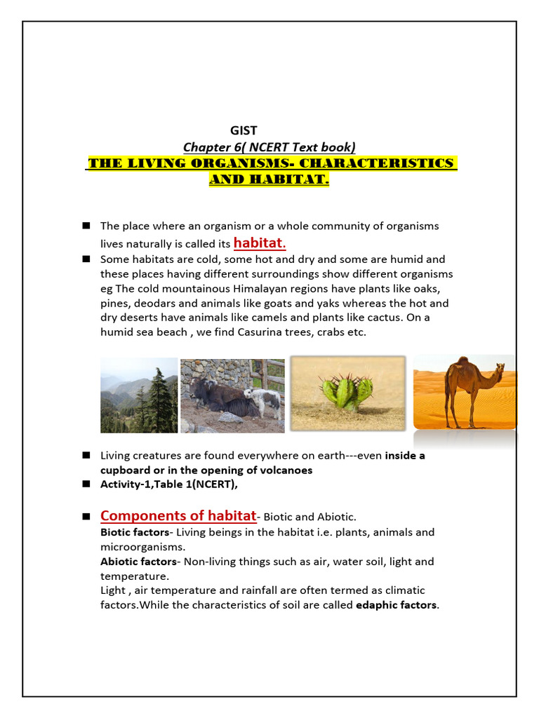 The Living Organisms. Chapter | PDF | Respiratory System | Leaf