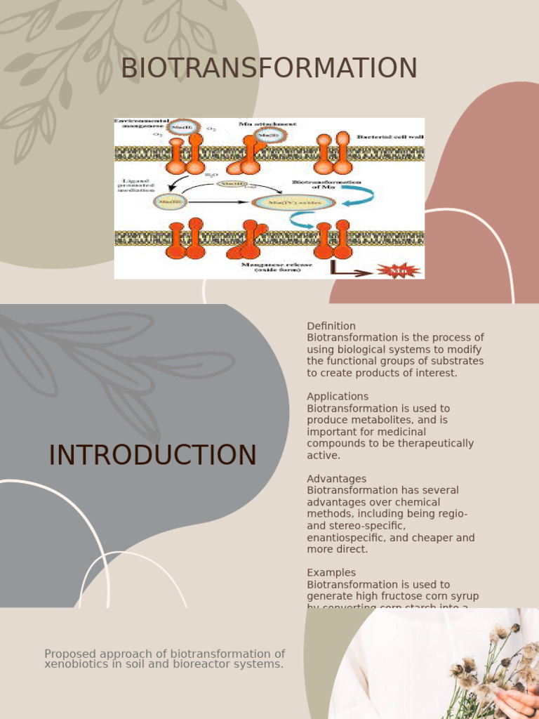 BIOTRANSFORMATION | PDF | Drug Metabolism | Cytochrome P450