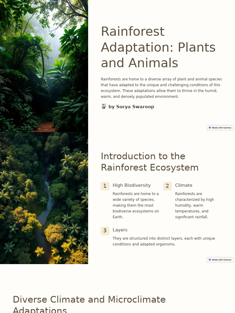 Rainforest Adaptation Plants and Animals | PDF | Rainforest | Plants