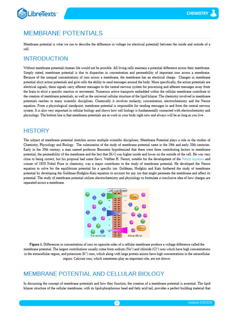 Membrane_Potentials | PDF | Membrane Potential | Cell Membrane