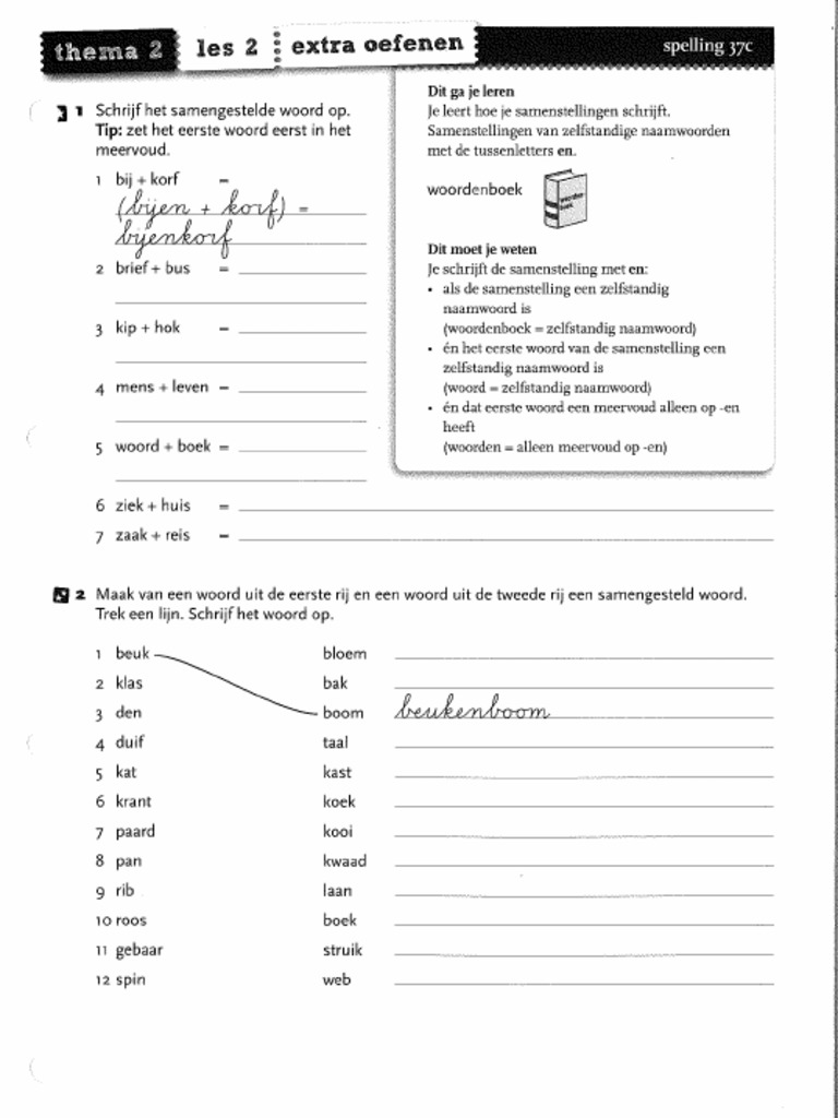 Oefenbladen Spelling Gr. 8 Thema 2 | PDF