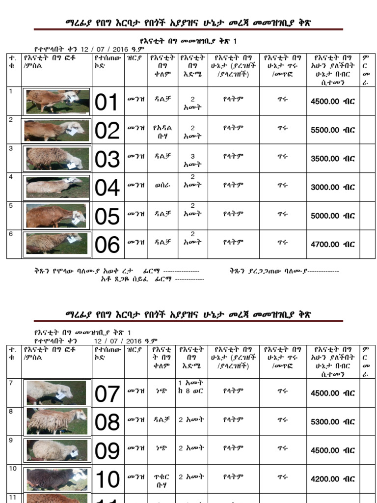 marefiya record sheet | PDF