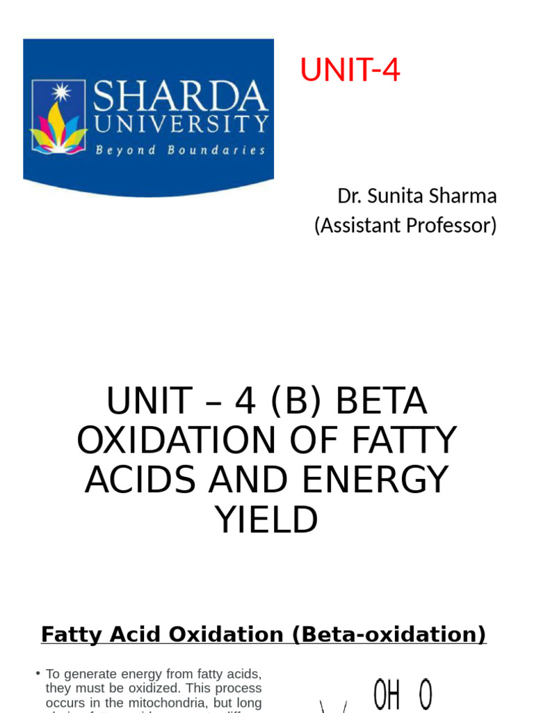 Unit 4_2 | PDF | Mitochondrion | Adenosine Triphosphate