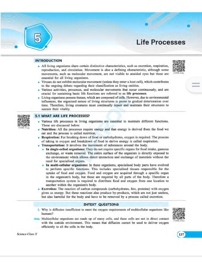 Biology CH 1 Life Processes Class10 | PDF