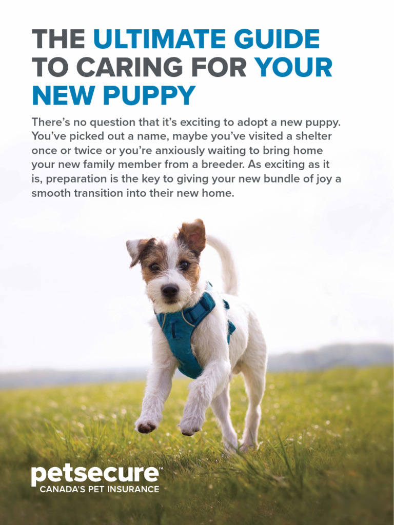 Petsecure PuppyGuide EN | PDF | Deductible | Insurance
