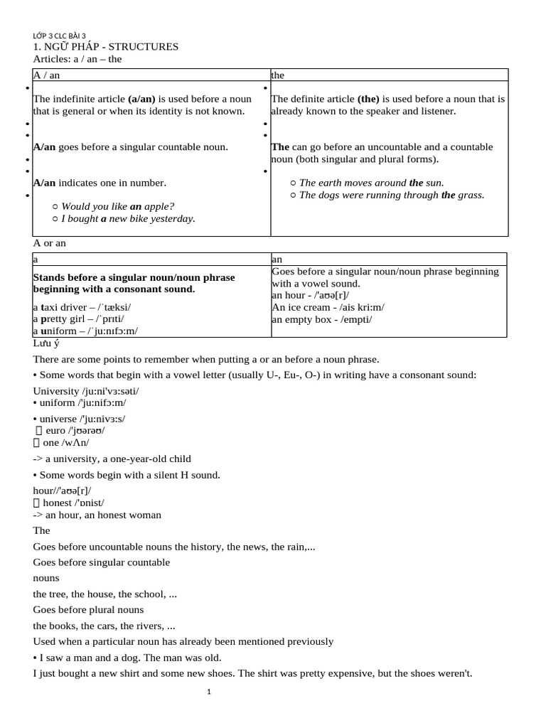 LỚP 3 CLC BÀI 3 | PDF | Noun | Grammatical Number