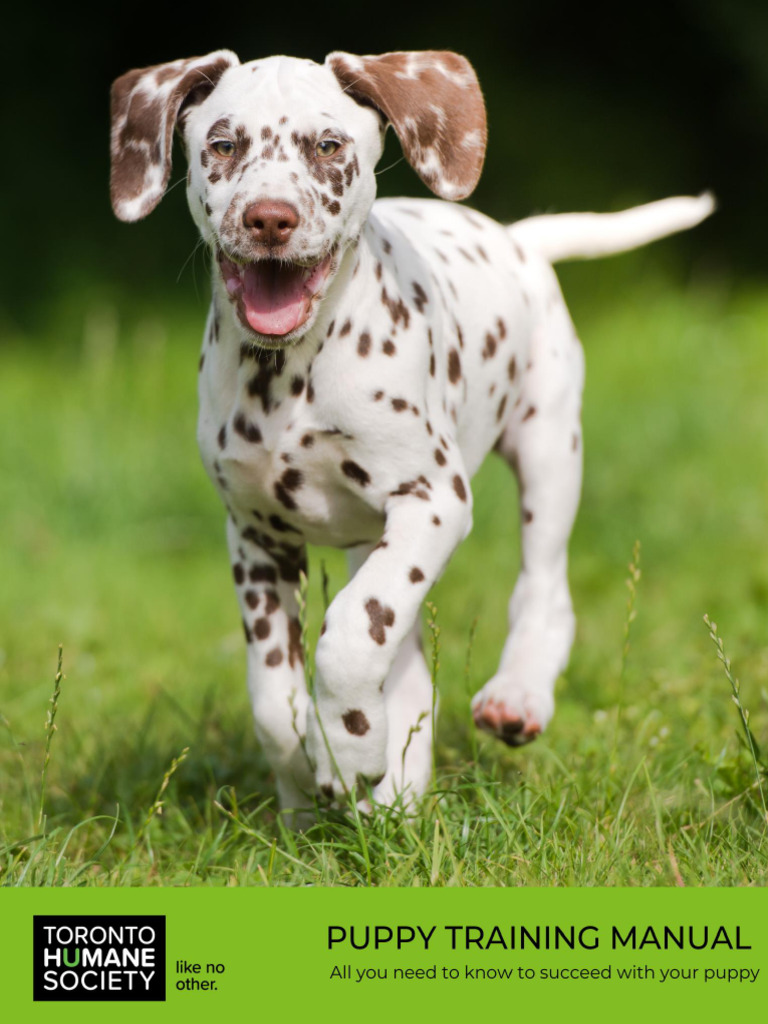 Puppy-Training-Manual | PDF | Dogs | Socialization