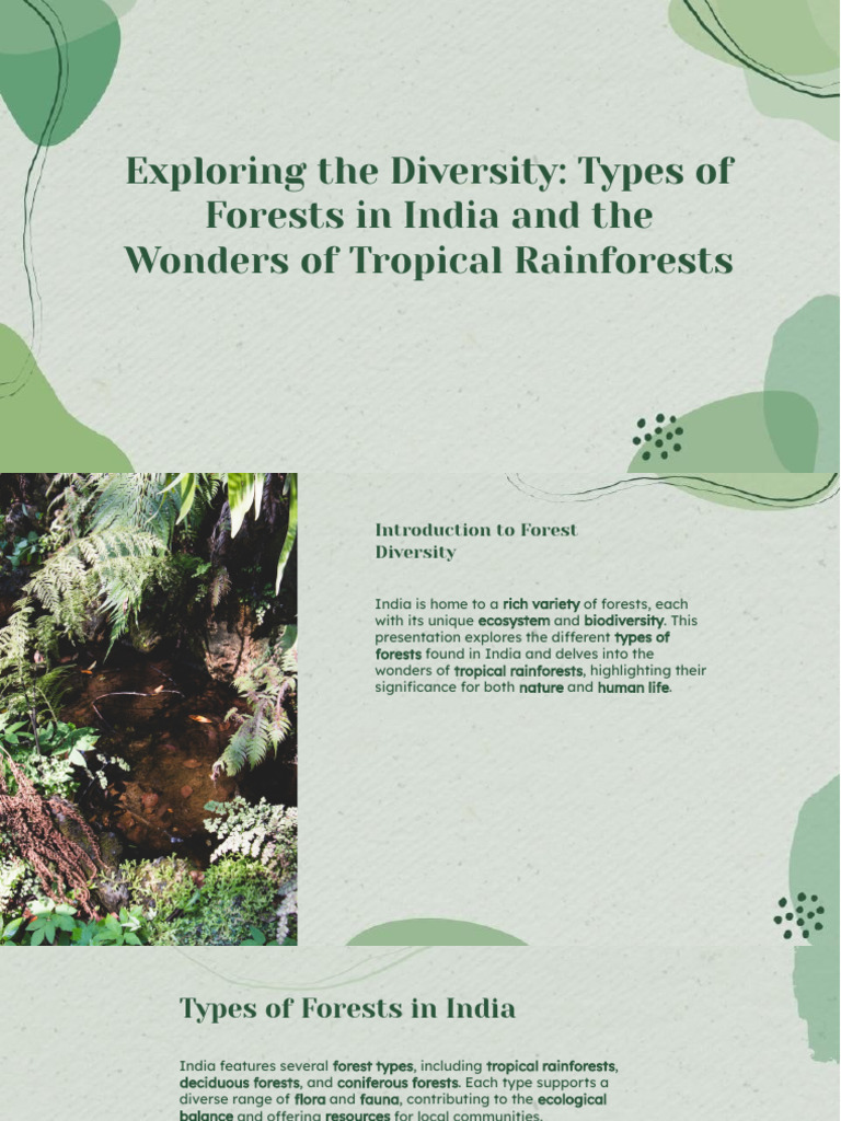 Slidesgo Exploring The Diversity Types of Forests in India and The ...