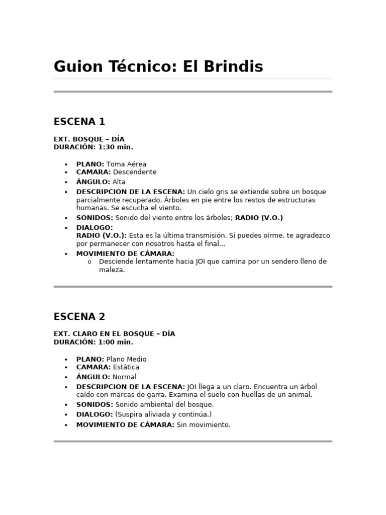 Guion Técnico El Brindis | PDF