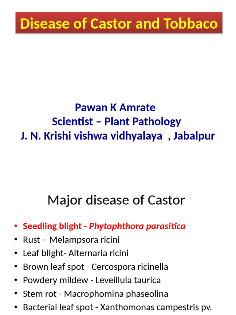 Castor and Tobbaco Diseases | PDF | Microbiology | Organisms
