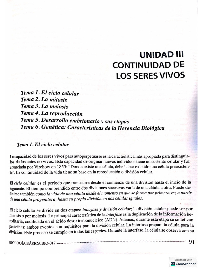 Tema 5 Ciclo Celular Pag (91-96) y Ejerc | PDF