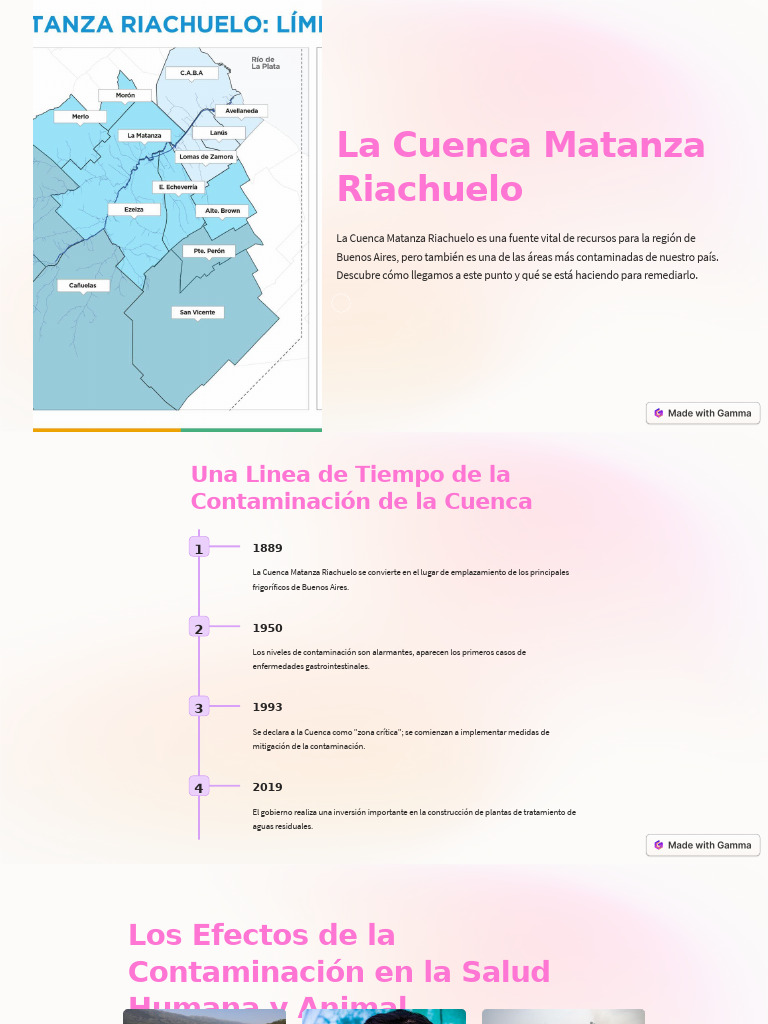 La Cuenca Matanza Riachuelo | PDF | Contaminación | Residuos