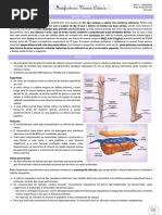 Classificação CEAP em Insuficiência Venosa | PDF | Varizes | Veia