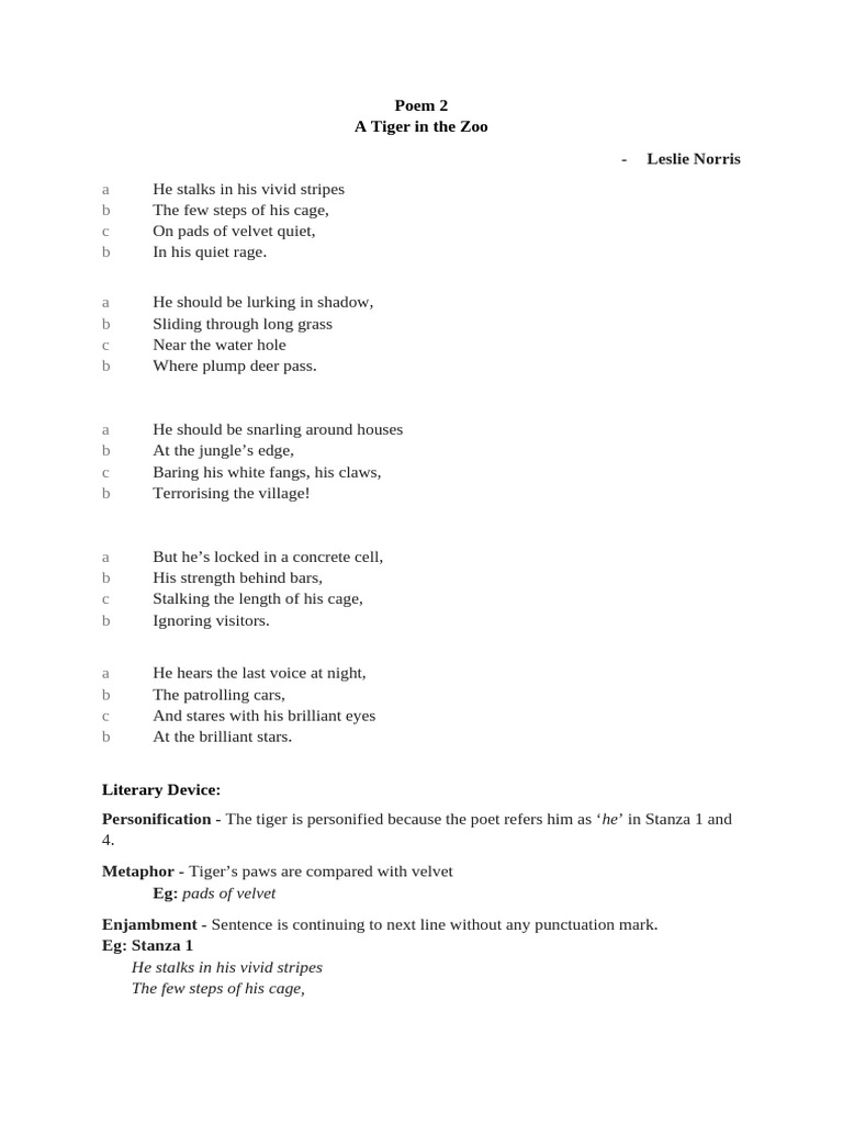 A Tiger in The Zoo (Poem-2) | PDF | Tiger