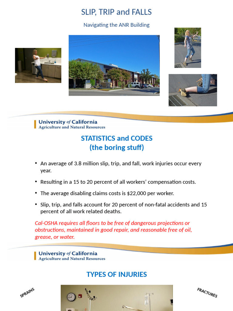 Slips, Trips, Falls | PDF