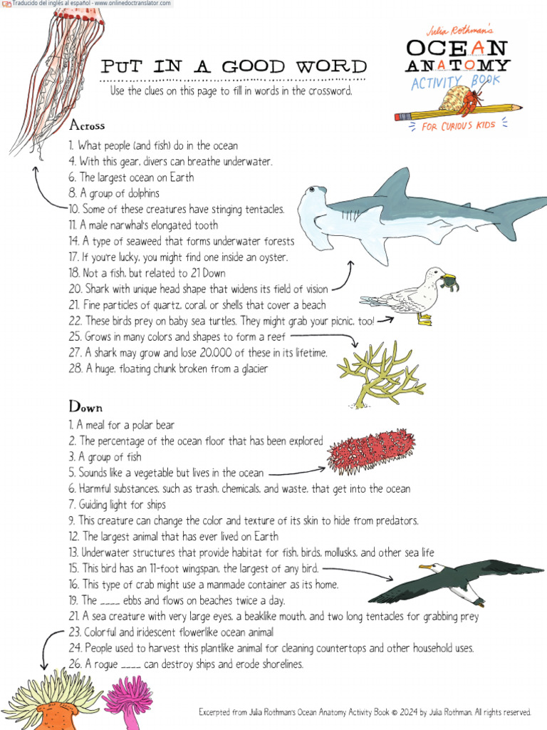 Storey Ocean-Anatomy Printable - En.es | PDF
