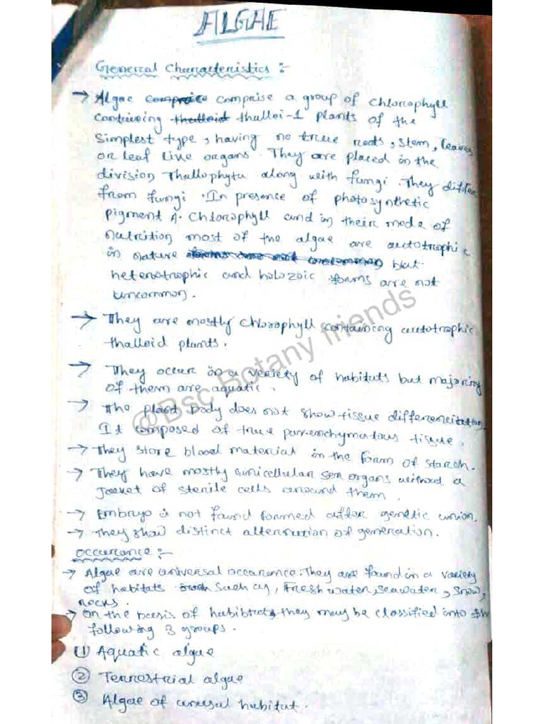 Algae Notes | PDF