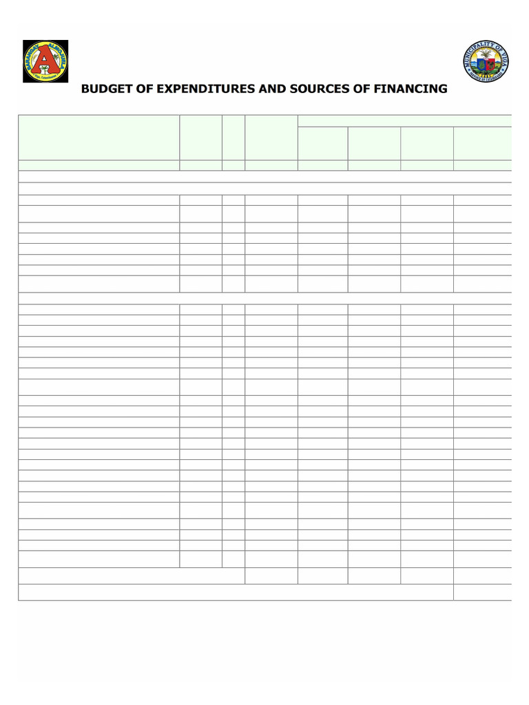 BNAP SAMPLE | PDF | Expense | Public Finance