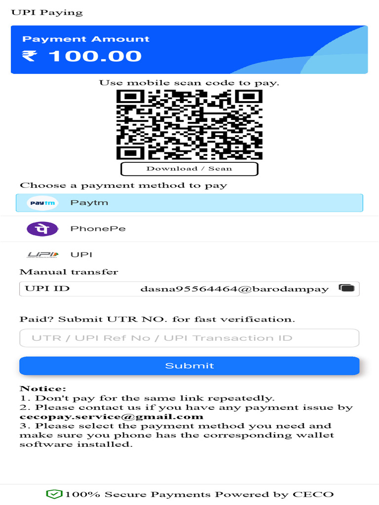 UPI Payment Instructions | PDF