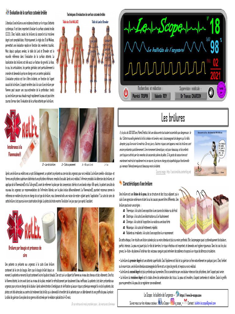 Les Brulures | PDF | Brûlure | Causes de décès