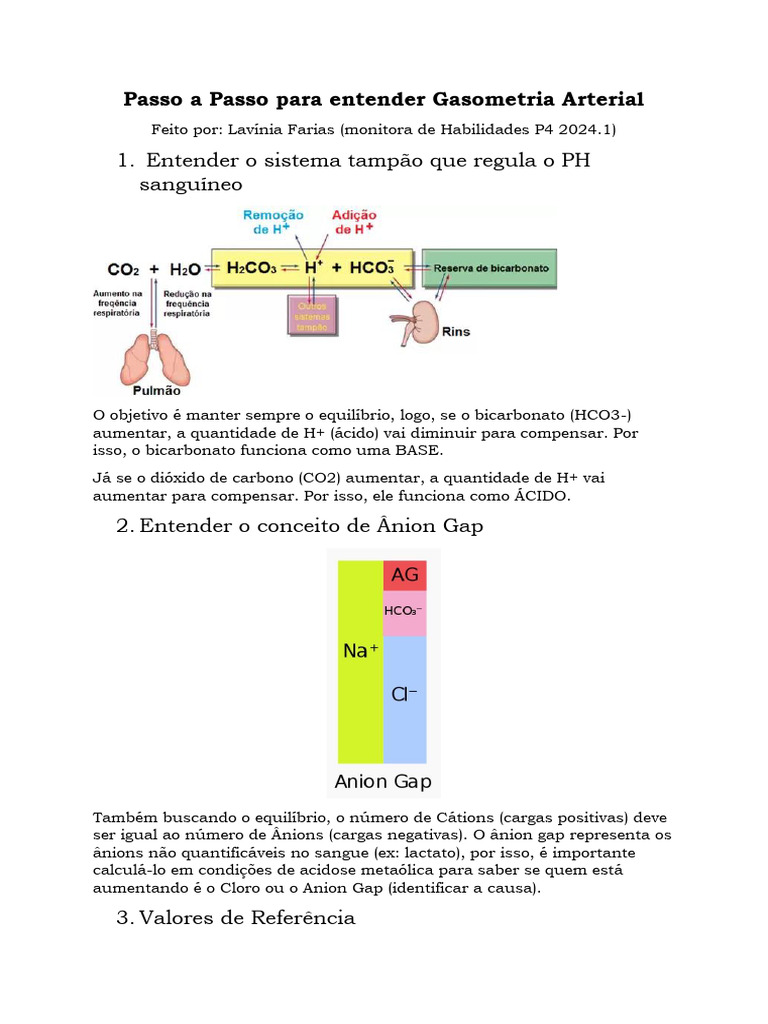Guia Prático de Gasometria Arterial | PDF | Especialidades médicas