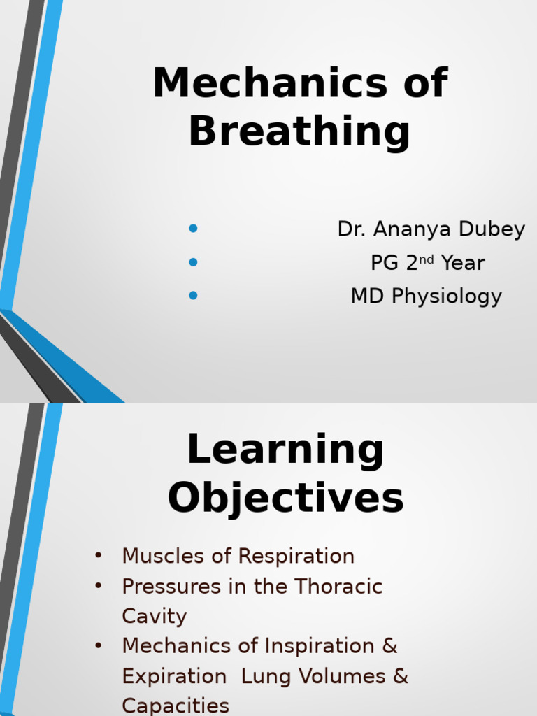 Mechanics of Breathing Explained | PDF | Thorax | Lung