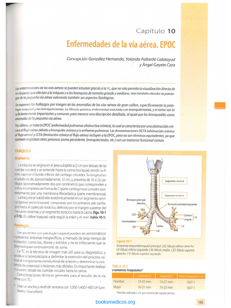 epoc | PDF
