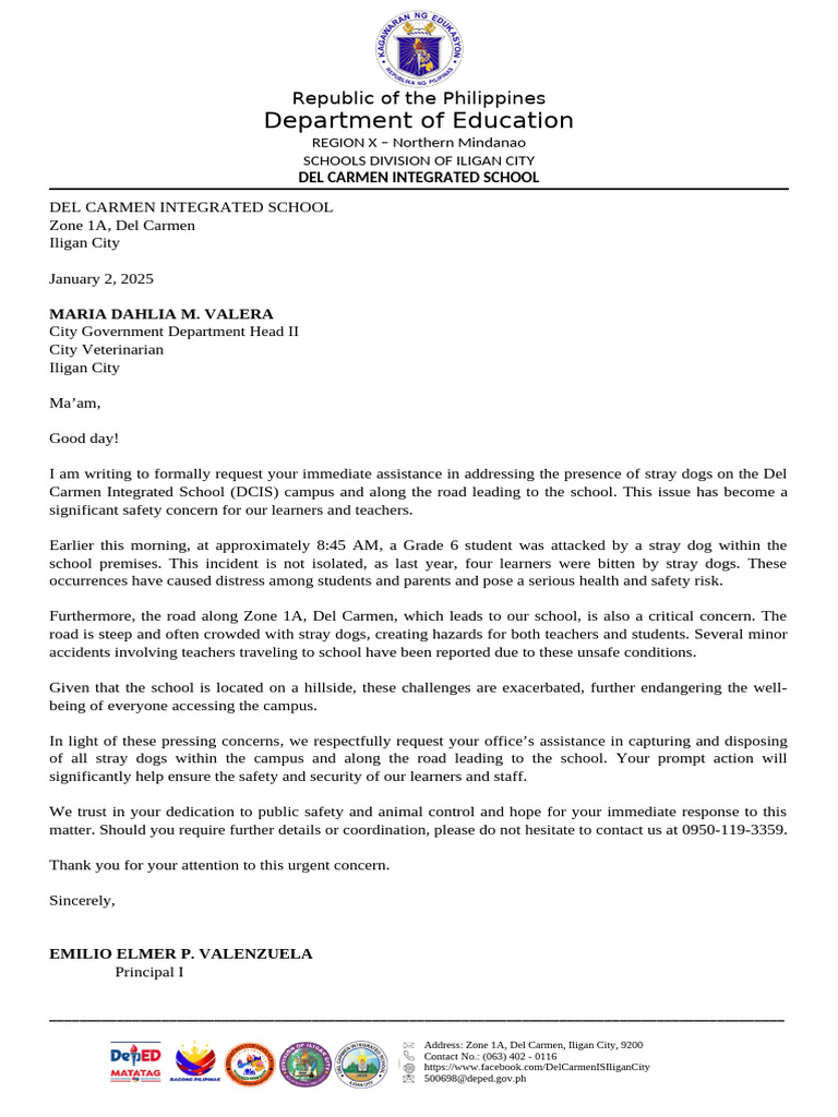 LETTER FOR STRAY DOGS | PDF