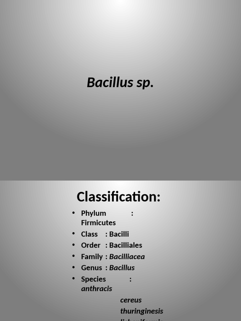 Bacillus | PDF | Bacillus | Anthrax