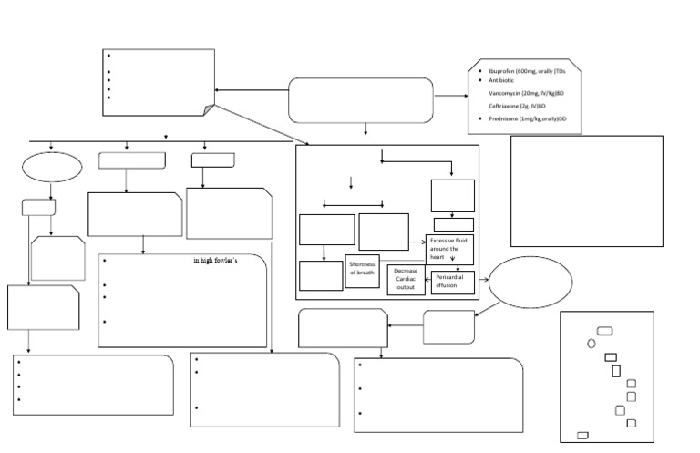 Critical - Integrated - Map - Pericarditis 1 | PDF | Heart | Inflammation