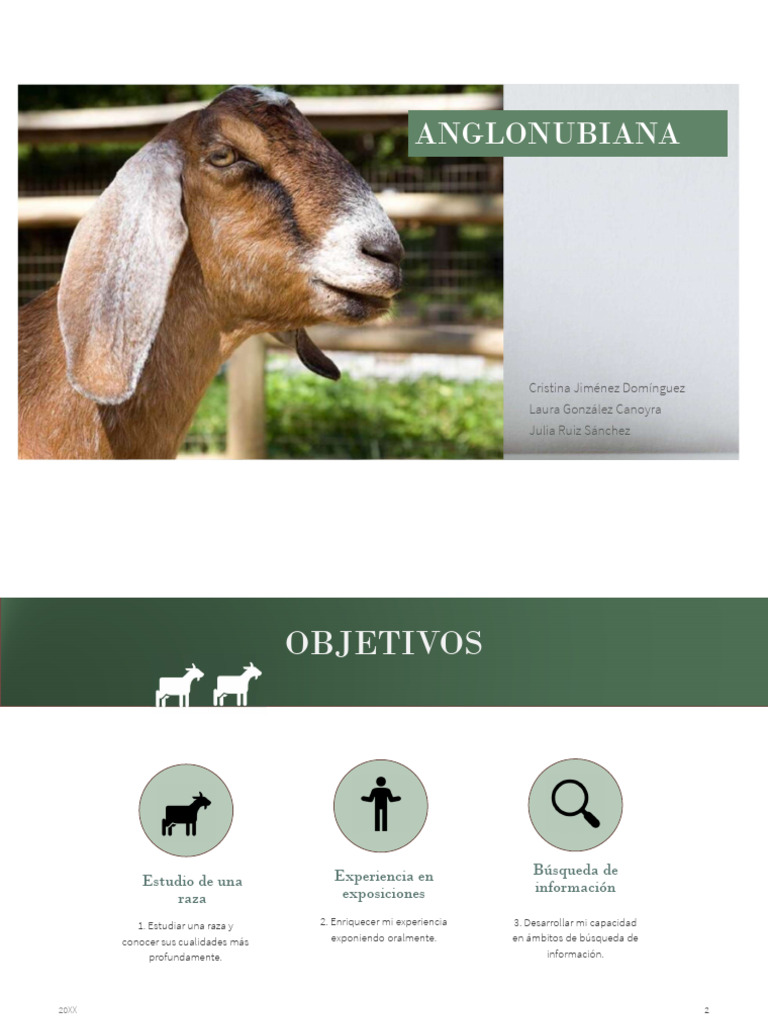 Presentacion Cabra 1 | PDF | Carne | America latina