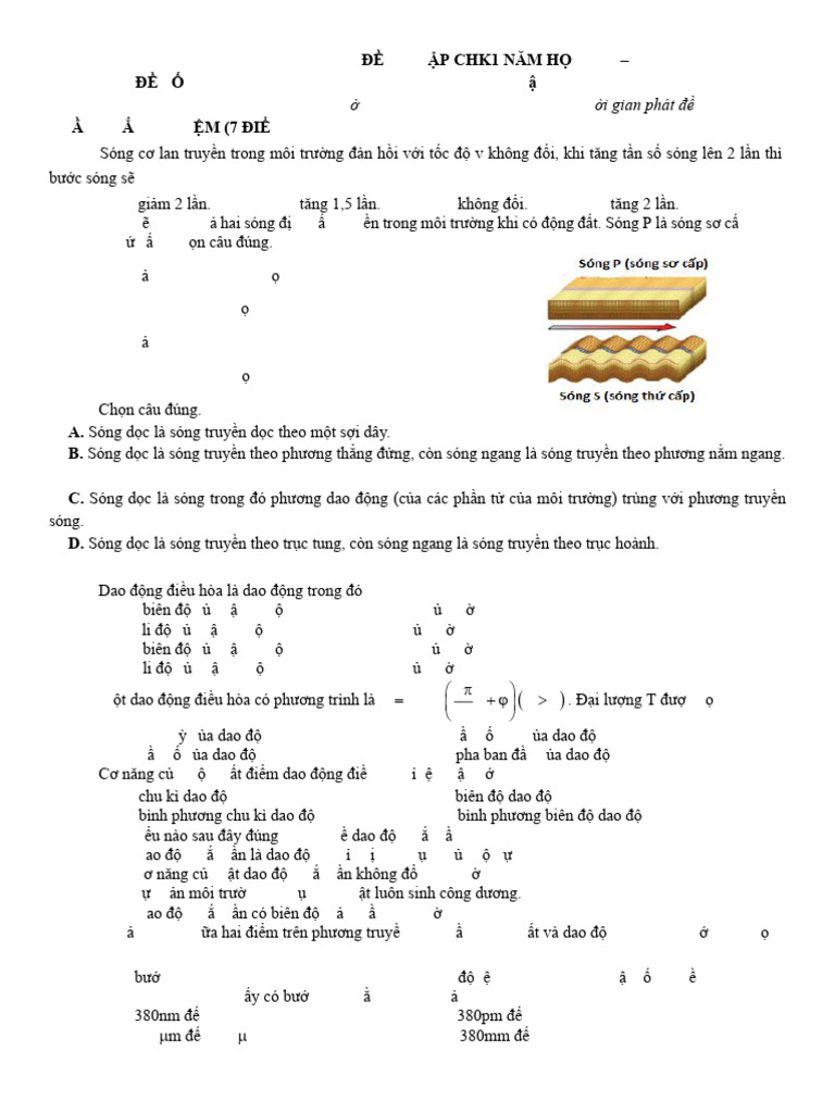 De Tham Khao Hoc Ki 11 Lop 11 Nam 2024 - 2025 | PDF