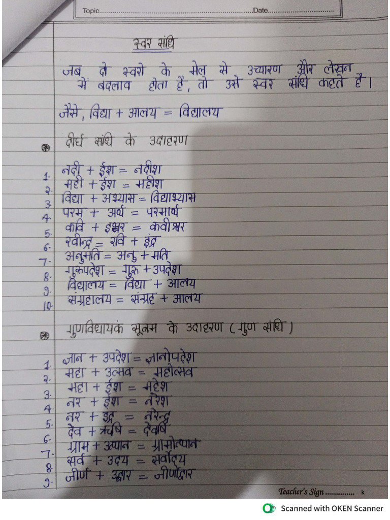 Sanskrit Assignment Sahil Swami | PDF